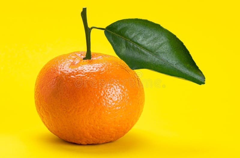 Side View of Sweet Mandarin Orange with Leaf Stock Photo - Image of ...