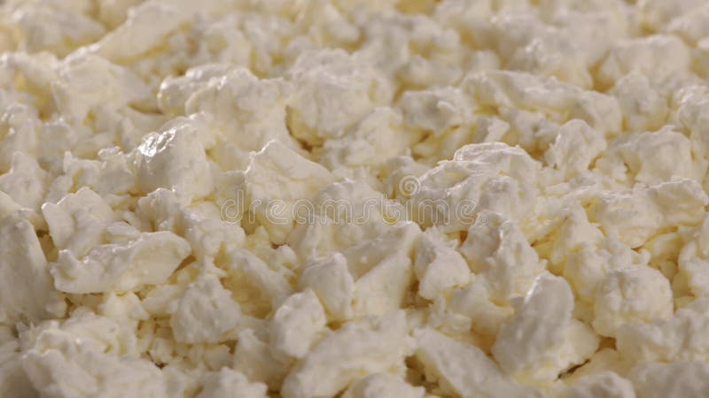 Side View of Texture Cottage Cheese Food Rotation Stock Video - Video ...