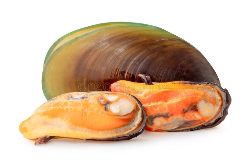 Side View of Three Cooked Green Mussels in Meat and Shell in Pile ...