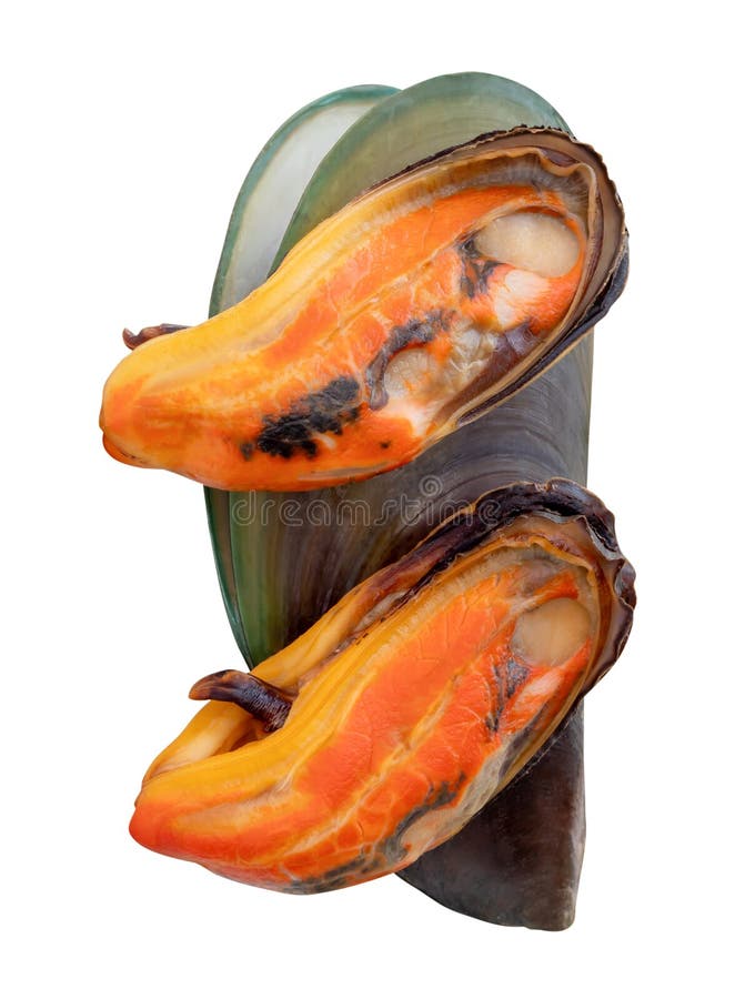 Side View of Three Cooked Green Mussels in Red Meat and Shell in Pile ...