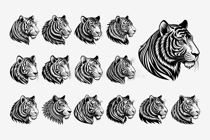 Side View of Tiger Face Illustration Design Set Stock Vector ...