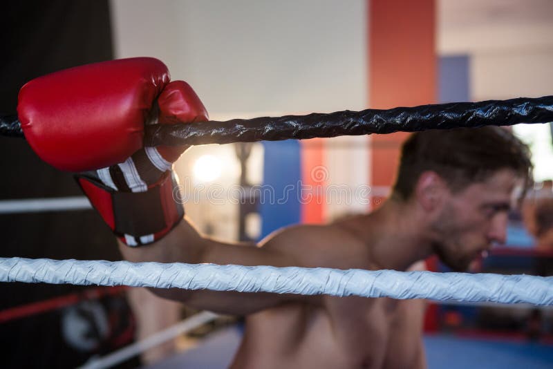 Side View of Tired Male Boxer Holding Rope Stock Image - Image of glove ...