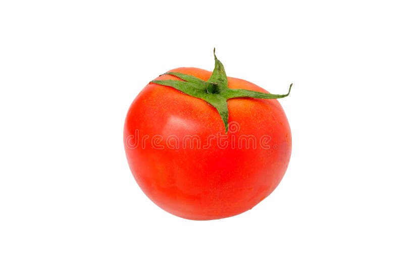 Side View Tomato Isolated on White Background. with Clipping Path Stock ...