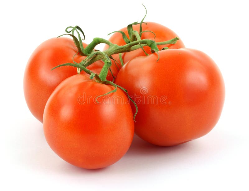 Side view tomatoes stock image. Image of skinned, healthy - 11852239