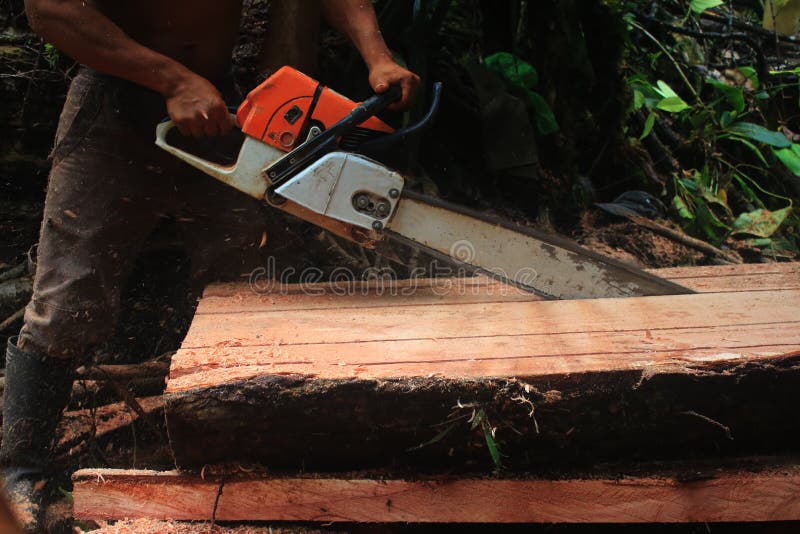 A Side View of a Tree Trunk Being Cut in Even Pieces with a Running ...