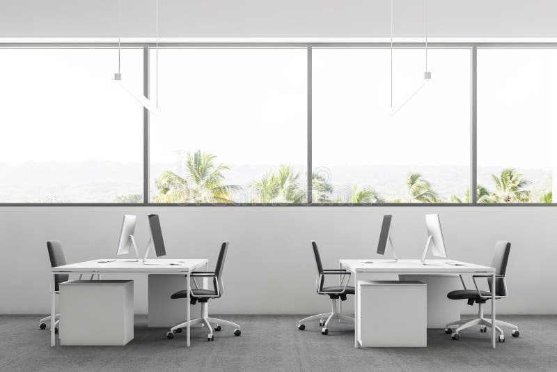 Side View Tropic Startup Office Interior Design Stock Illustration ...