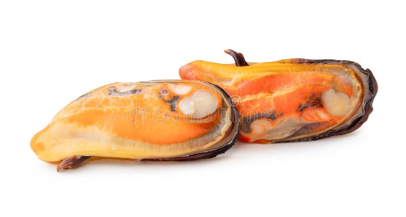 Side View of Two Cooked Green Mussels in Meat in Pile Isolated on White ...