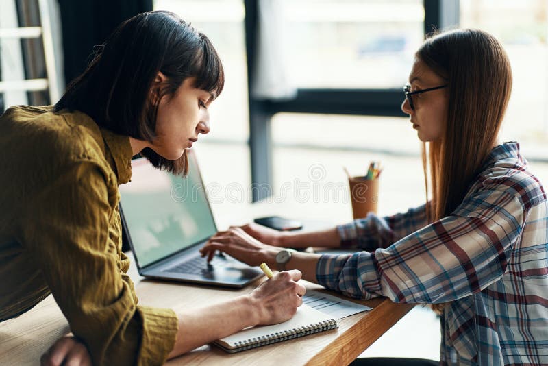 Side View of Two Young Woman Working in Modern Office Using Laptop ...