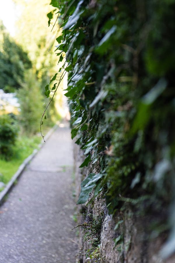Side View of Wall with Pathway in Park Stock Image - Image of detail ...