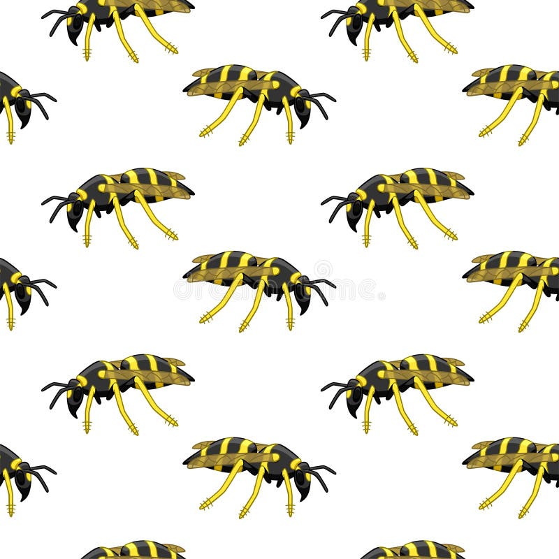Transparent Wasps Stock Illustrations – 21 Transparent Wasps Stock ...