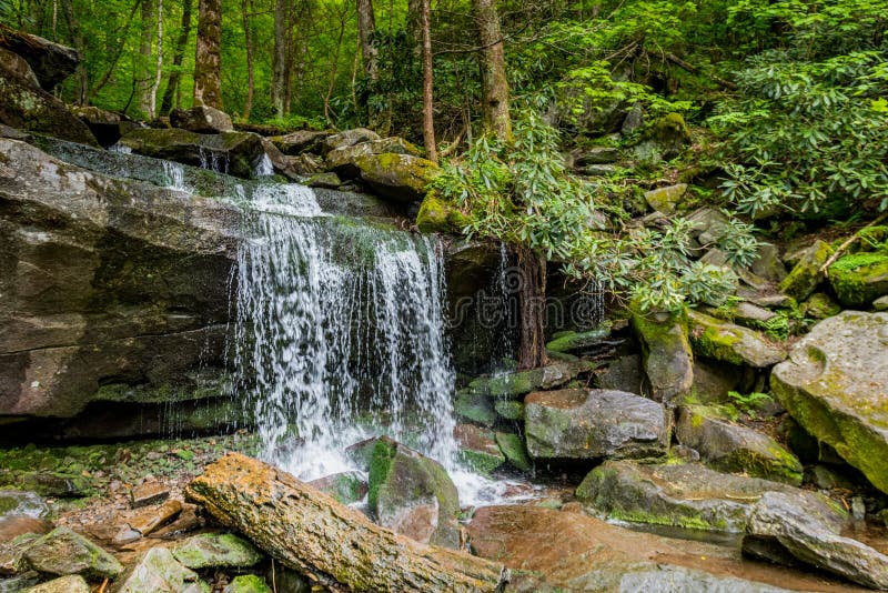 Side View of Waterfall on Hike To Rainbow Falls Stock Photo - Image of ...