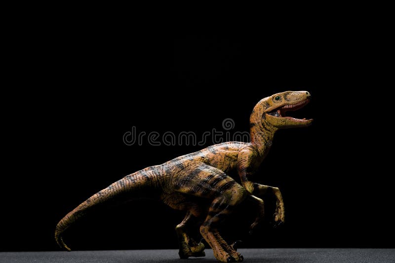 Side View Yellow Velociraptor Toy Stock Photo - Image of dinosaur ...