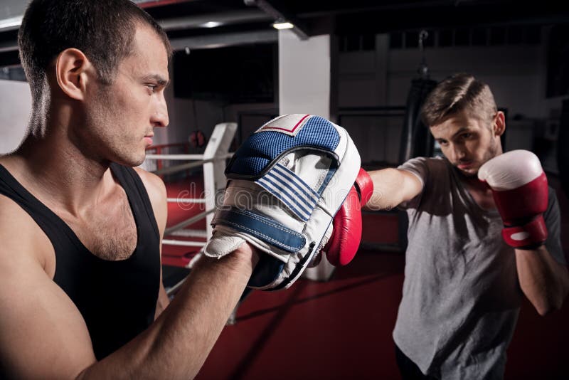 Side View of Young Boxer Training Hook on Pad Stock Image - Image of ...