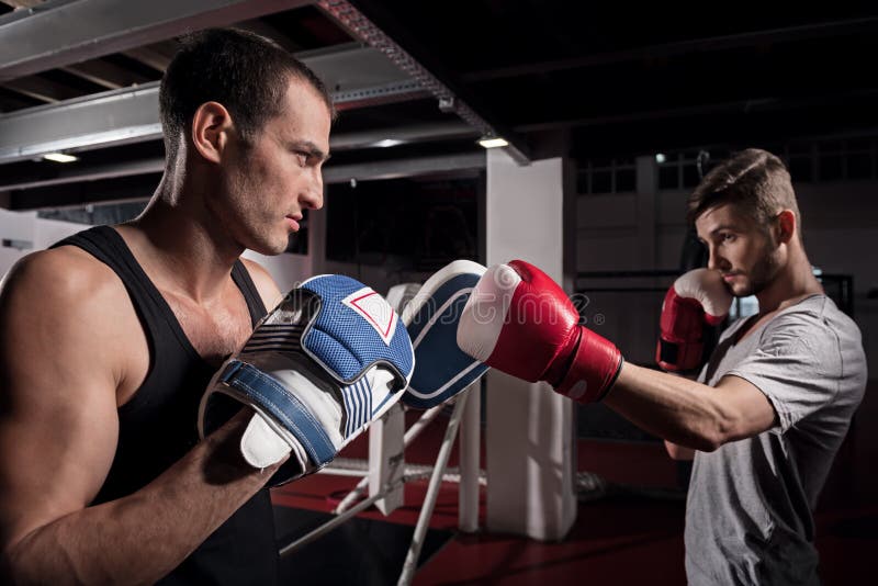 Side View of Young Boxer Training Hook on Pad Stock Photo - Image of ...