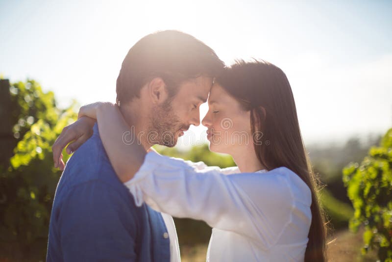 Side View of Young Couple Embracing at Vineyard Stock Photo - Image of ...