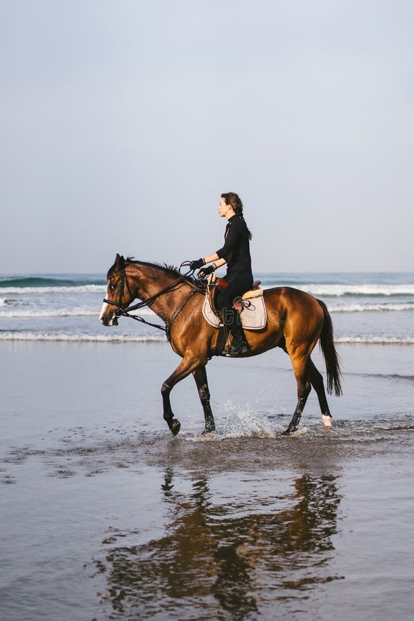 Side View of Young Female Equestrian Riding Horse on Sandy Stock Photo ...