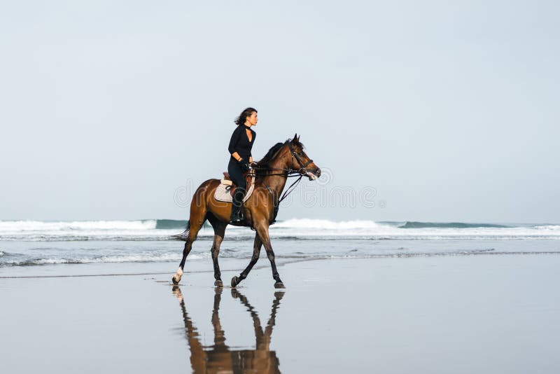 Side View of Young Female Equestrian Riding Horse on Sandy Stock Photo ...