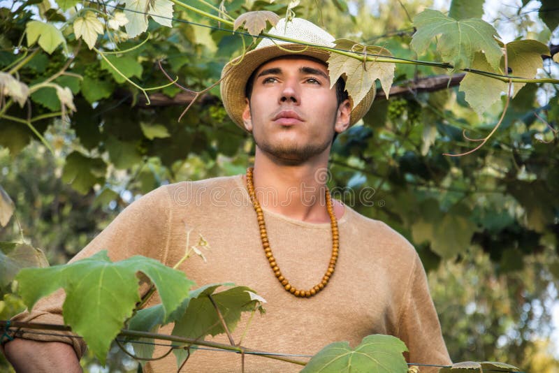 Side View of Young Man in Hat Looking at Vine Leaves Stock Photo ...