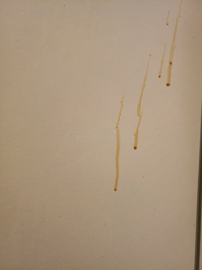 Dried cooking sauce stock photo. Image of sauce, kitchen - 110135982