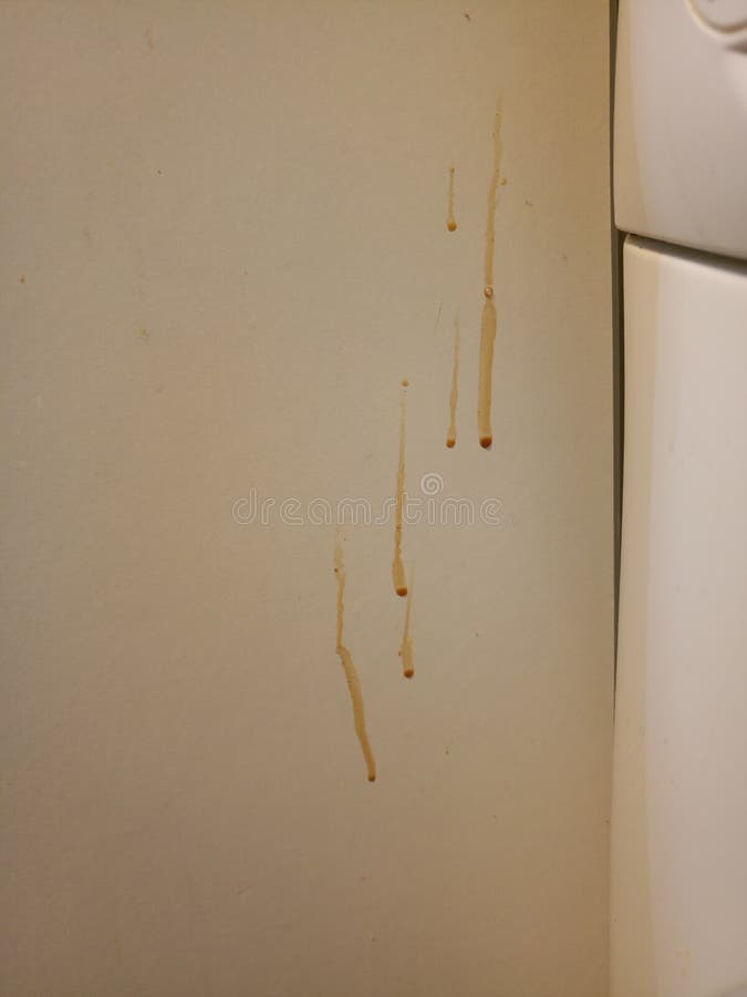 Dried cooking sauce stock photo. Image of kitchen, side - 110135998