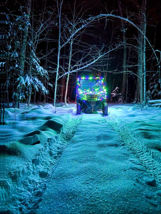 Side by Side on Winter Trails Stock Image - Image of branch, forest ...