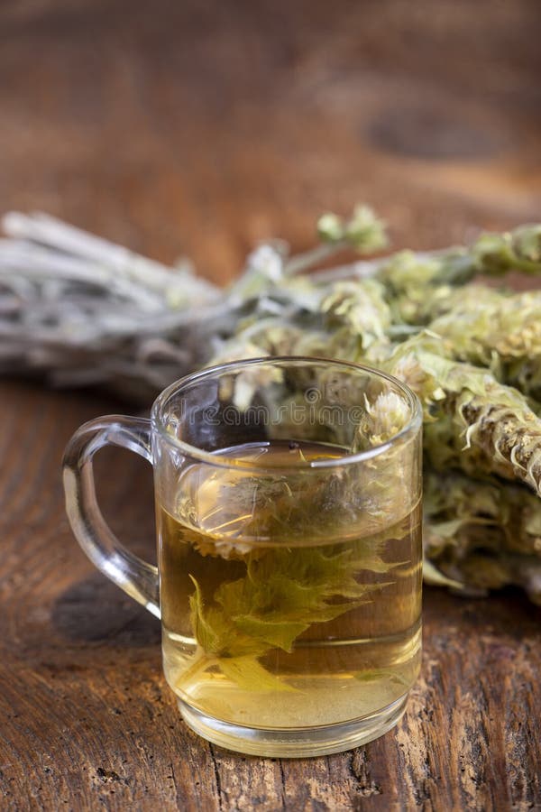Sideritis tea stock photo. Image of greek, herb, condiment - 262550132