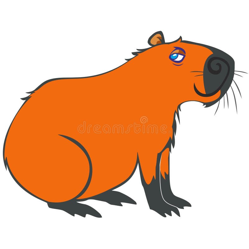 Sideview Capybara Orange Capybara Stock Vector - Illustration of ...
