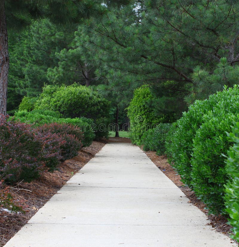 828 Manicured Bushes Stock Photos - Free & Royalty-Free Stock Photos ...