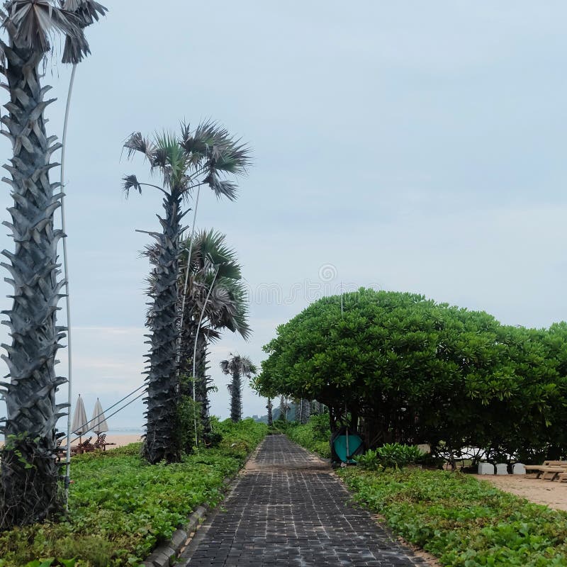 Sidewalk to the beach stock image. Image of sidewalk - 24106803