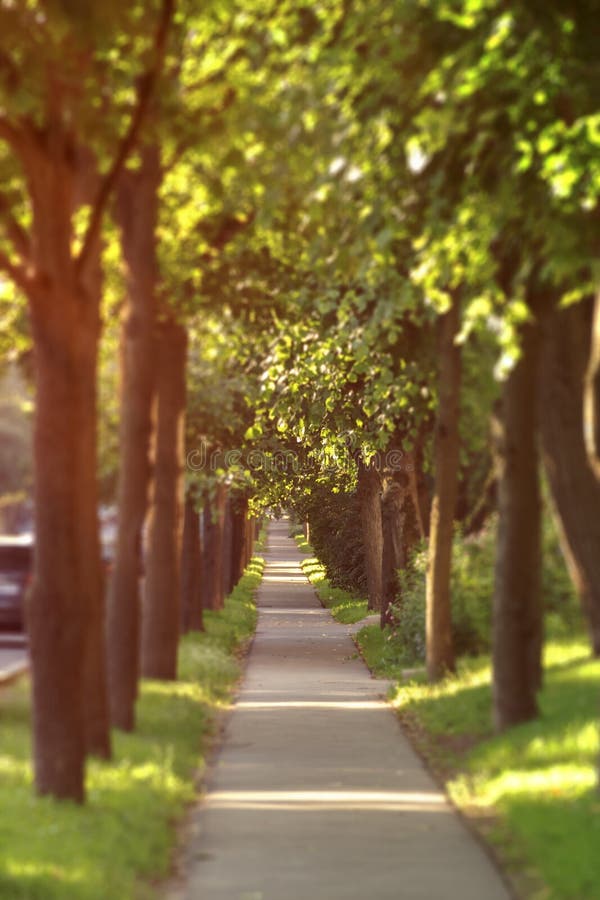 Sidewalk in the city stock image. Image of exterior, light - 50772153