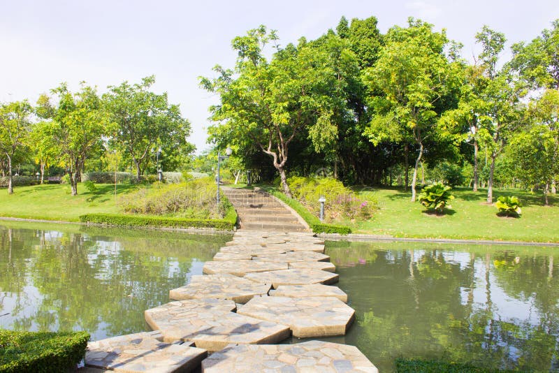 Sidewalk stock image. Image of green, sidewalk, impala - 58683825