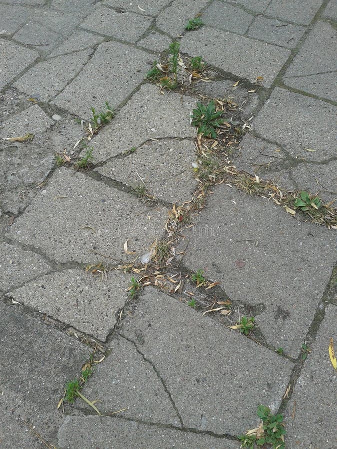 Sidewalk damage stock image. Image of sidewalk, stone - 42646941