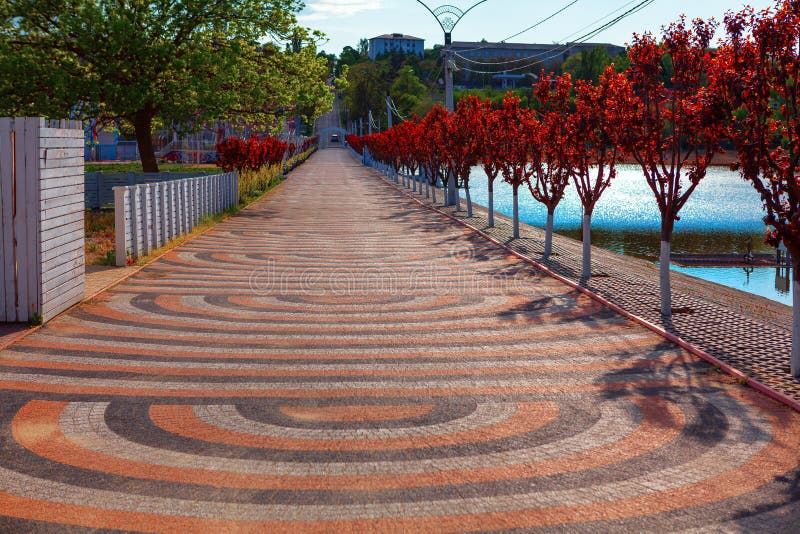Sidewalk with Decorative Trees Stock Photo - Image of pavement ...