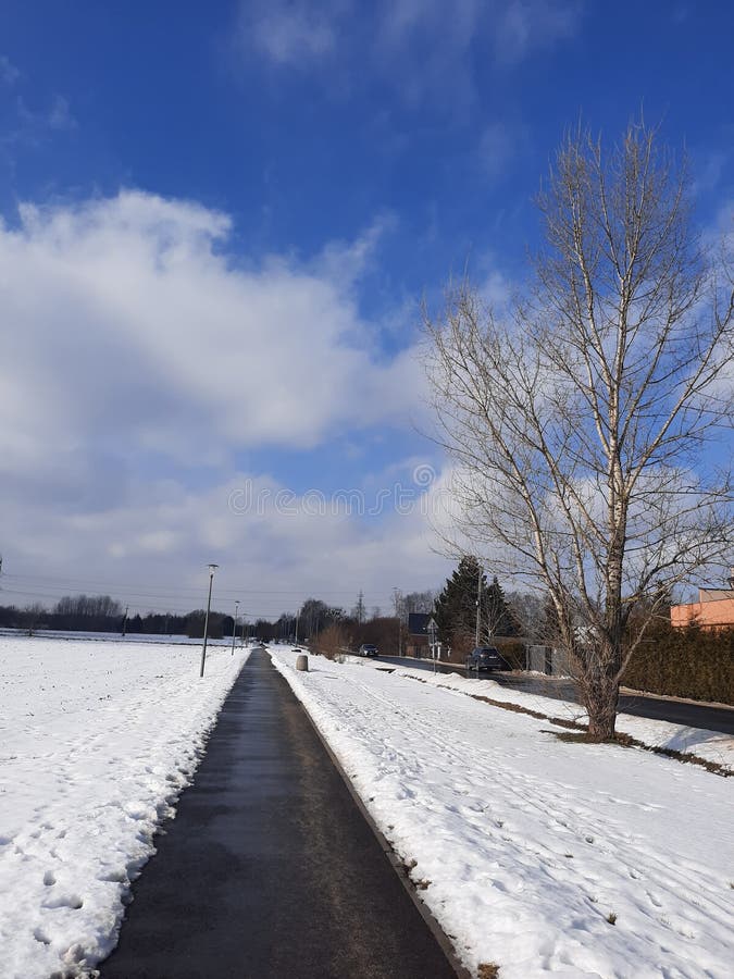 A Sidewalk and a Dry Tree in the Middle of Snow Stock Photo - Image of ...