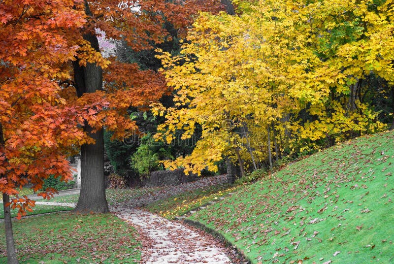 Sidewalk with fall colors stock photo. Image of tree - 35440966