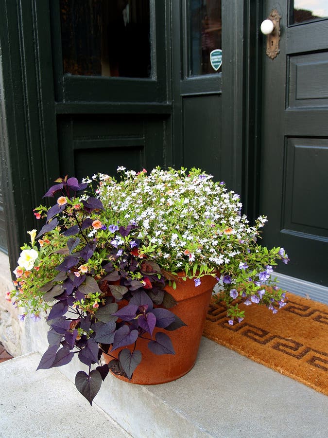 Sidewalk Flower Pot stock image. Image of spring, scenery - 26077921