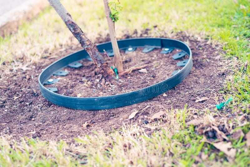 Sidewalk Front Yard Fruit Tree with Black Recycled Plastic Landscape ...