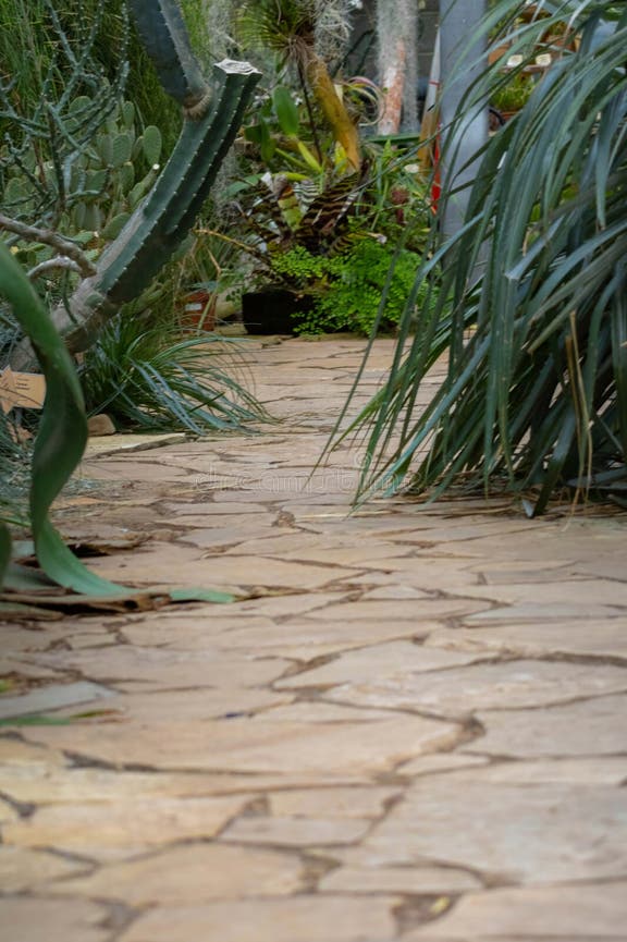 The Sidewalk through a Garden Stock Photo - Image of dense, natural ...