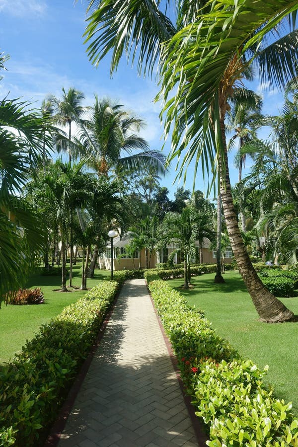Garden Path on a Tropical Resort Stock Photo - Image of scenic ...