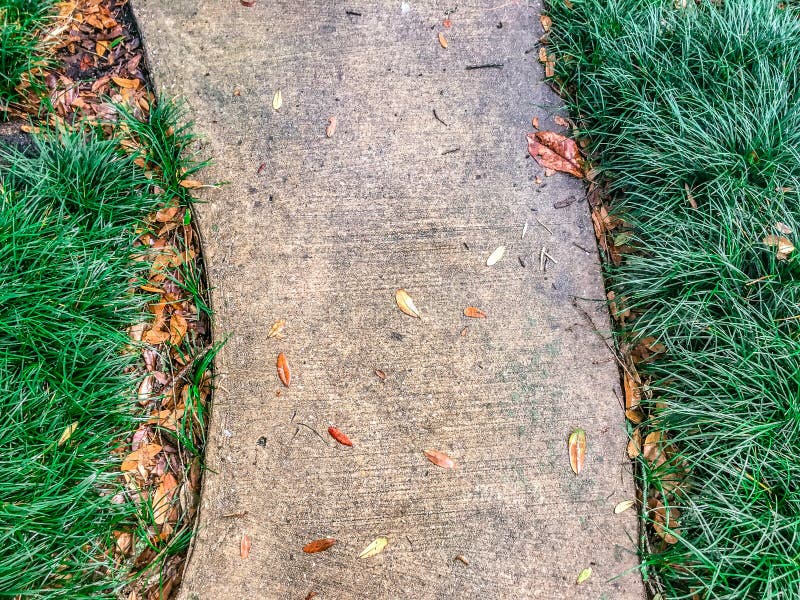 Sidewalk and Grass on the Ground in Spring Stock Image - Image of green ...