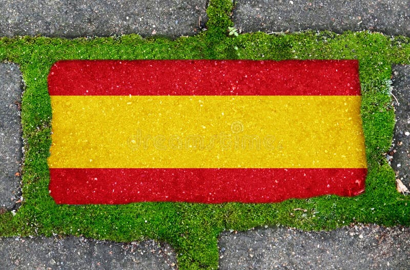 On the Sidewalk in Green Moss, Paving Slabs with the Image of the Flag ...