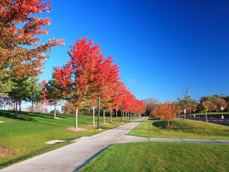 Sidewalk horizontal view stock image. Image of foliage - 11454527