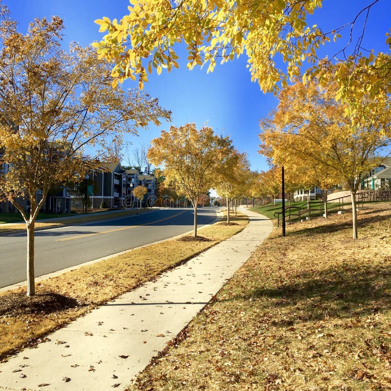 The walk ways of fall stock photo. Image of fall, apartment - 144860248