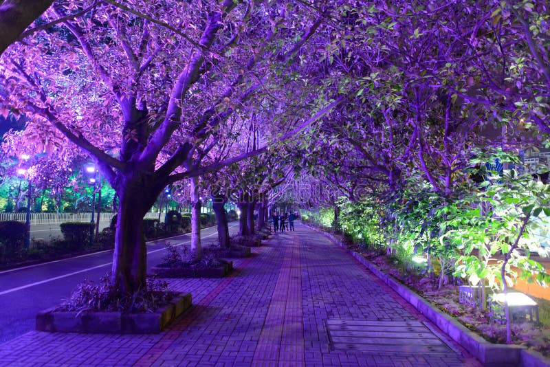 Sidewalk at night editorial photography. Image of park - 51722482