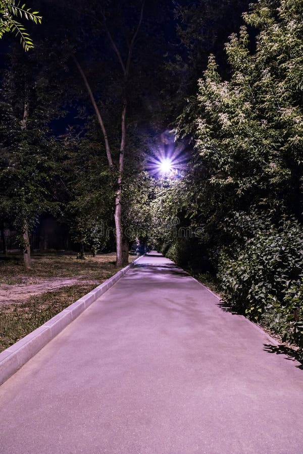 Sidewalk at Night Under the Lantern Stock Image - Image of pavement ...
