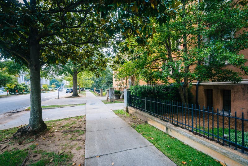 The South Building of Berkeley College and a Walkway at Yale Uni Stock ...