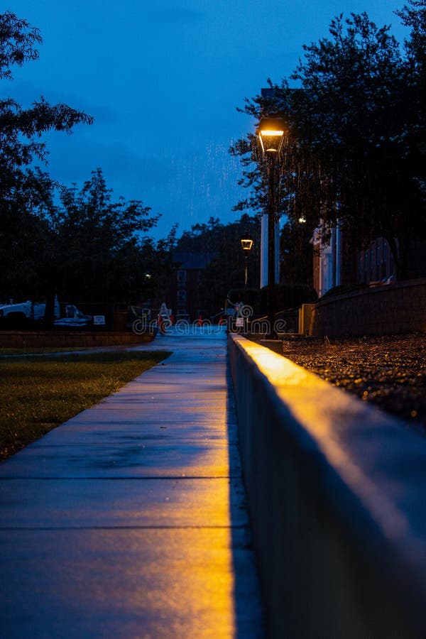 Sidewalk on the Park during Nighttime Stock Image - Image of road ...