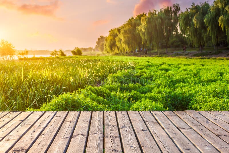 Sidewalk in the park stock image. Image of beautiful - 45861297