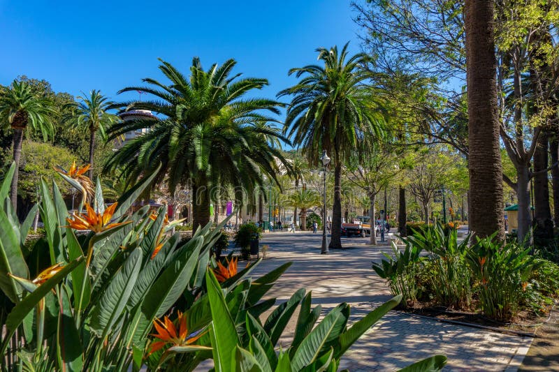 Sidewalk on the Paseo Del Parque in Malaga, Spain with Palm Trees and ... Sidewalk on the Paseo Del Parque in Malaga, Spain with Palm Trees and ...