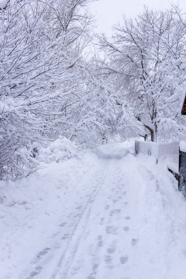 Sidewalk Path Covered in Heavy Snow in Boulder Colorado Ice Storm Stock ...